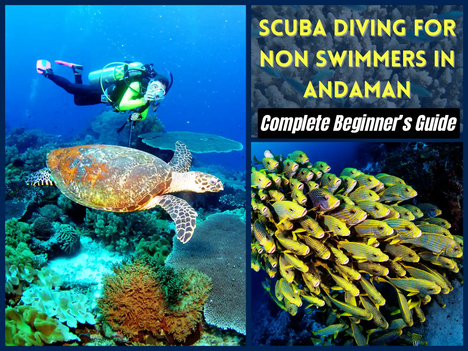 Scuba Diving For Non Swimmers In Andaman (Tips & Tricks)